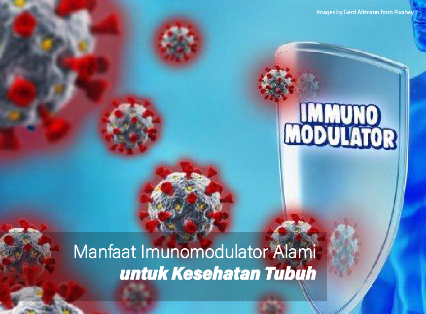 Manfaat Imunomodulator Alami untuk Kesehatan Tubuh