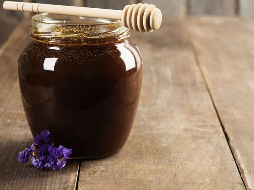 madu-hitam-apis-dorsata